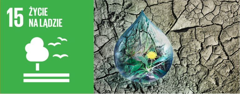 SDG15 - Życie na lądzie | Politechnika Gdańska